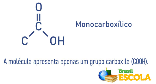 Ácidos carboxílicos: reações, nomenclatura, exemplos - Brasil Escola